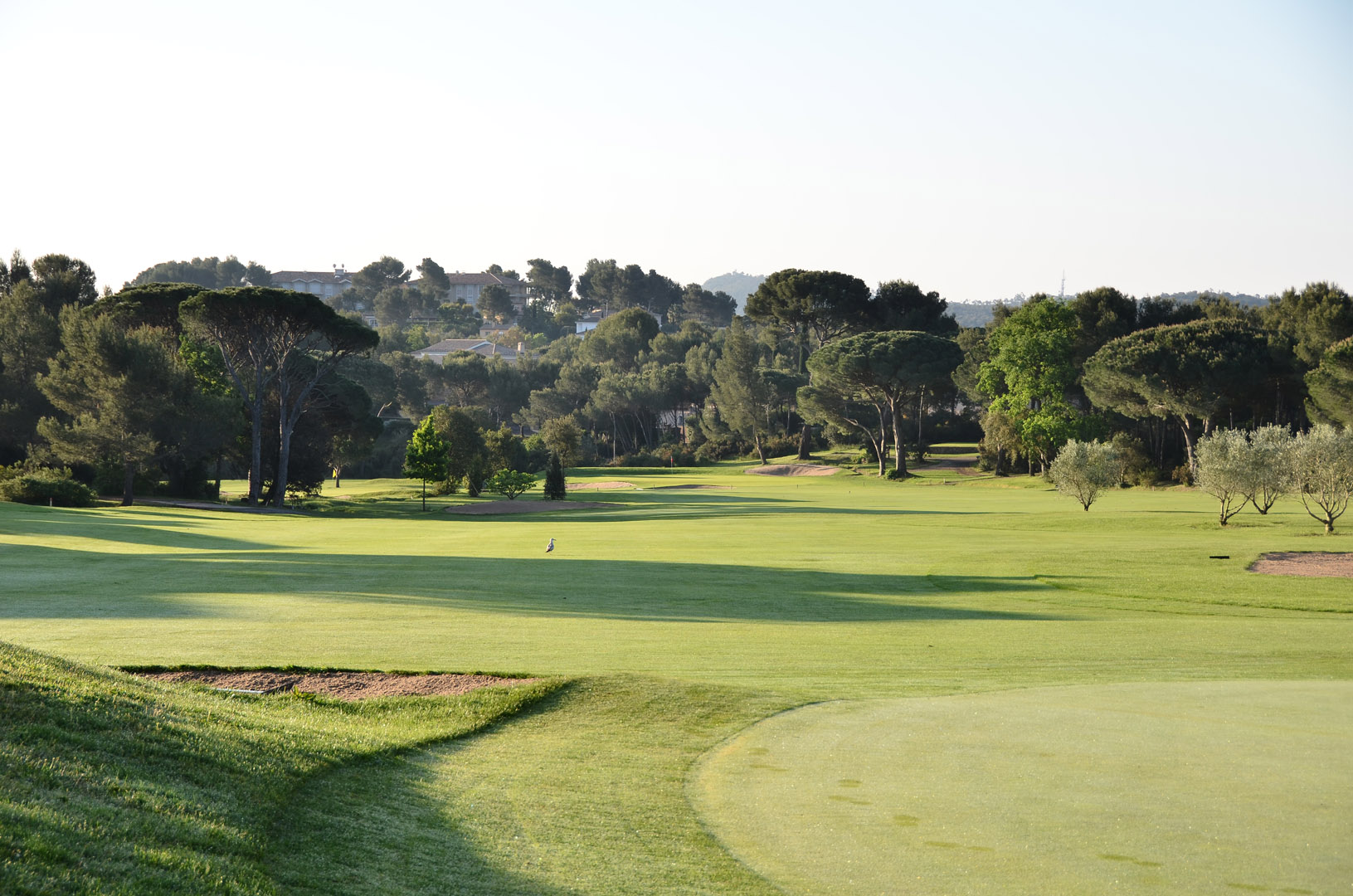 Golf et Tennis Club de Valescure - DEFI AMICAL - Simple Stableford SWC