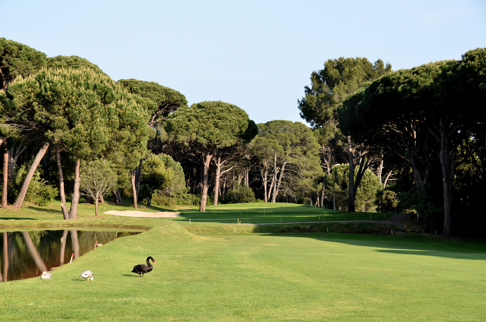 Golf et Tennis Club de Valescure - DEFI AMICAL - Simple Stableford SWC